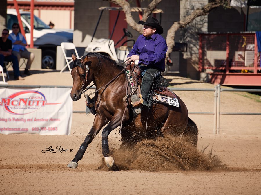 2016 Scottsdale Arabian Horse Show Results – Nathan Kent Performance Horses